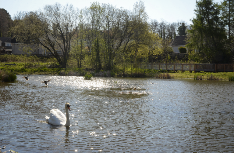 New NHSGGC Sustainability Strategy steps up drive towards net zero - NHSGGC