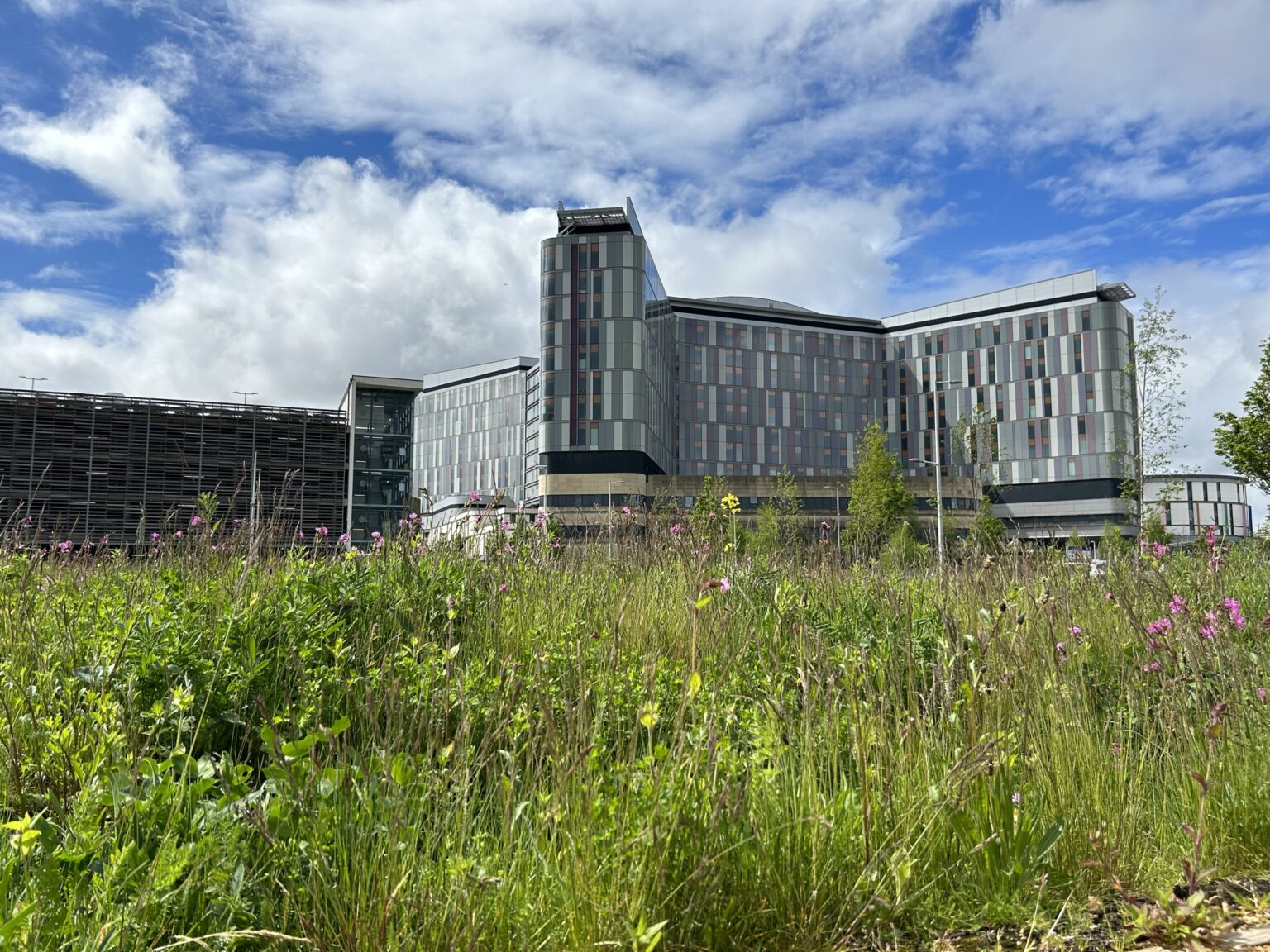 Our Areas of focus - NHSGGC