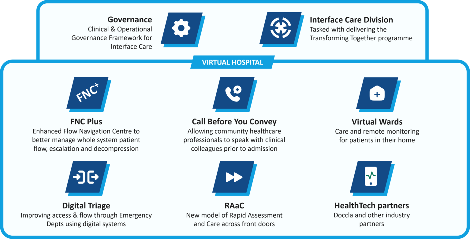 What is the Interface Division? - NHSGGC